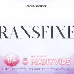 Transfixed Announces 2023 TEA Platinum Plus Sponsorship – The Trans ...
